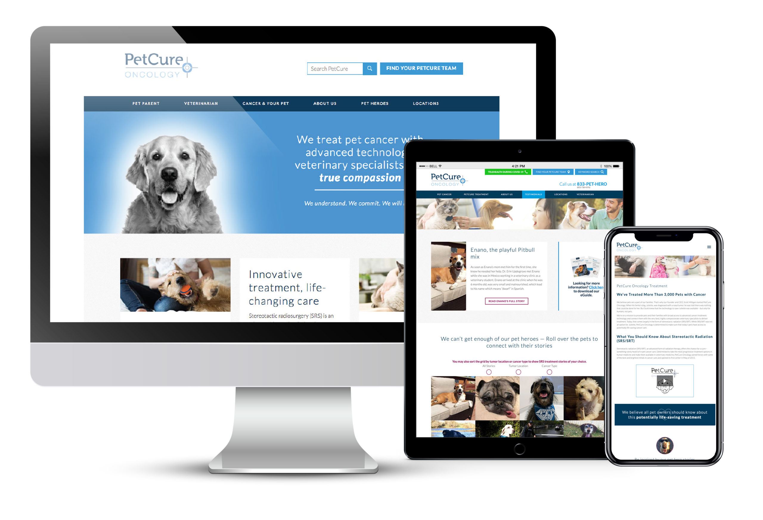 Animal-Health-PetCure-Oncology | Doner Partners Health